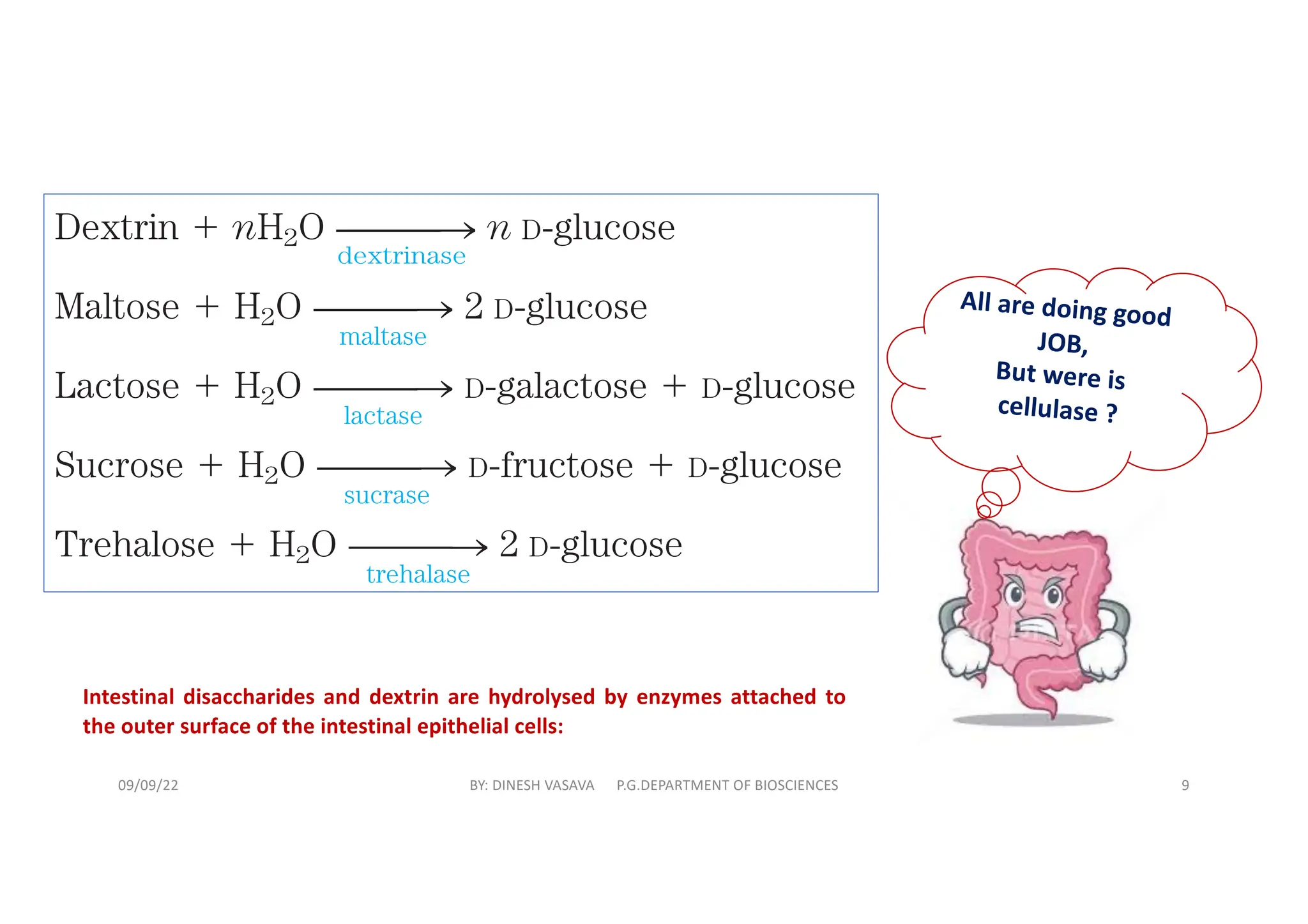 Metabolic regulation Glucose and Fat .pdf