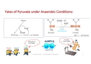 Metabolic regulation Glucose and Fat .pdf