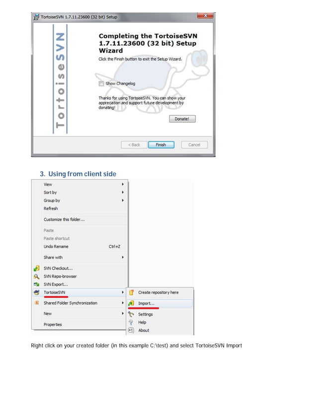 Version controls for php project with visual svn server and tortoisesvn client | PDF