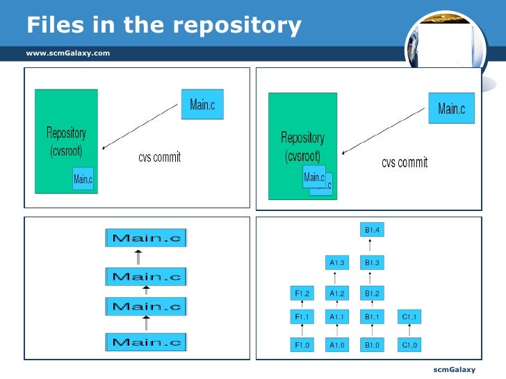 Version Control With Cvs 