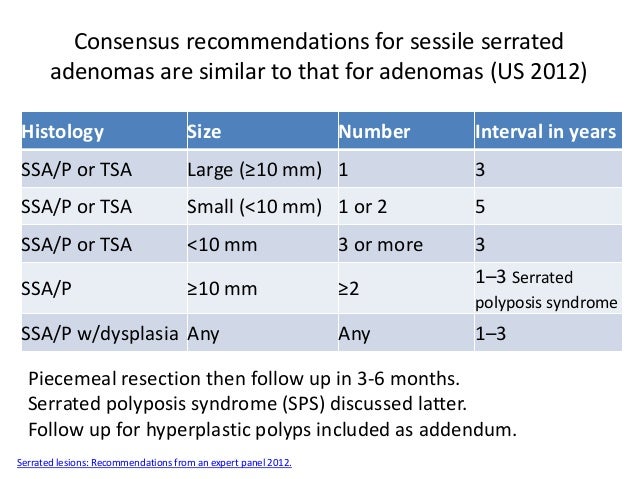 Version e 2015 hawaii serrated adenoma follow up
