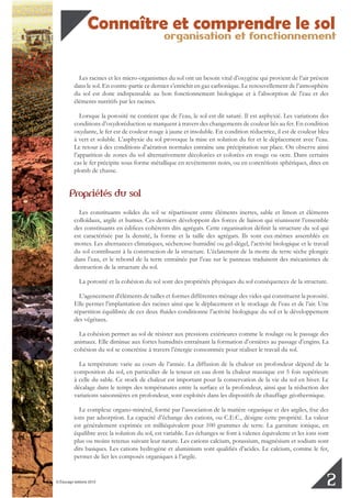 Organisation et fonctionnement du sol | PDF