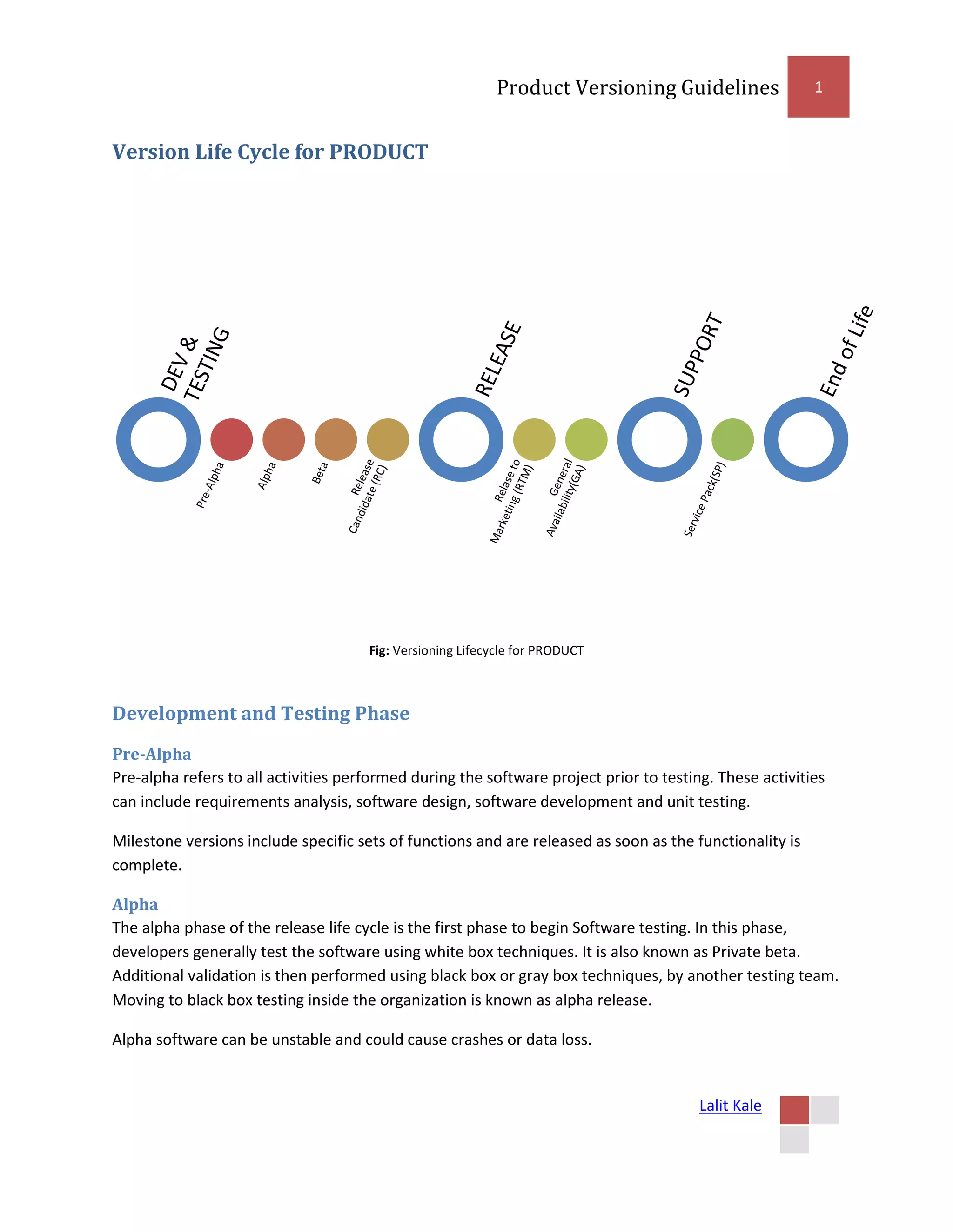 Versioning guidelines for product | PDF