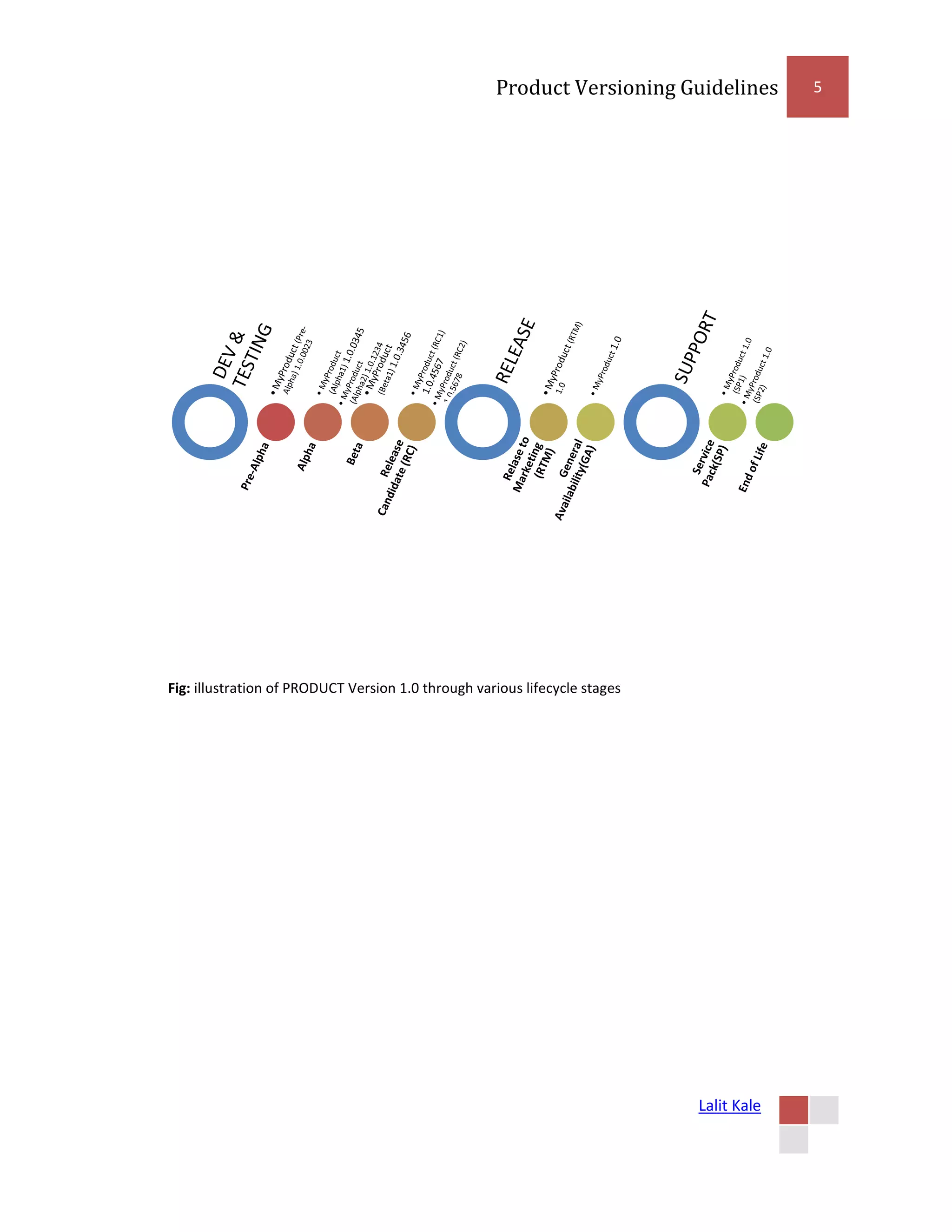 Versioning Guidelines For Product | Pdf