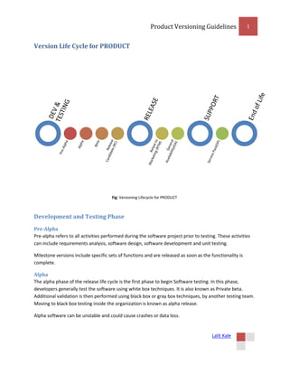Versioning guidelines for product | PDF