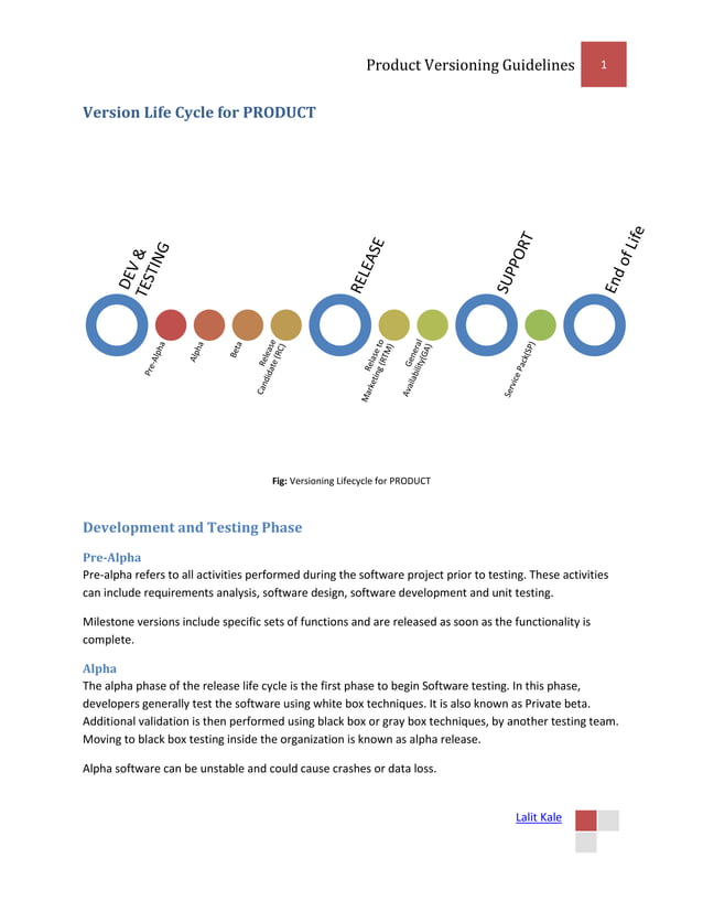 Versioning guidelines for product | PDF