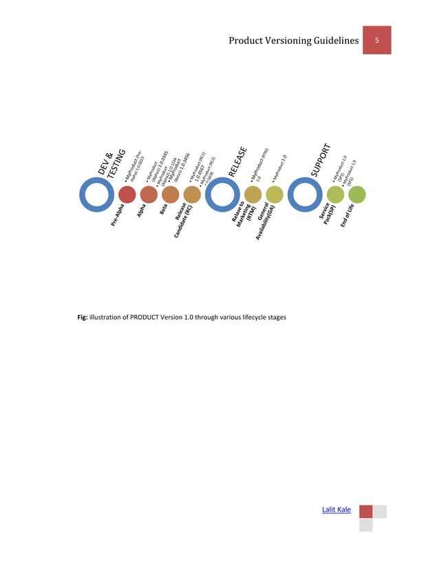 Versioning guidelines for product | PDF