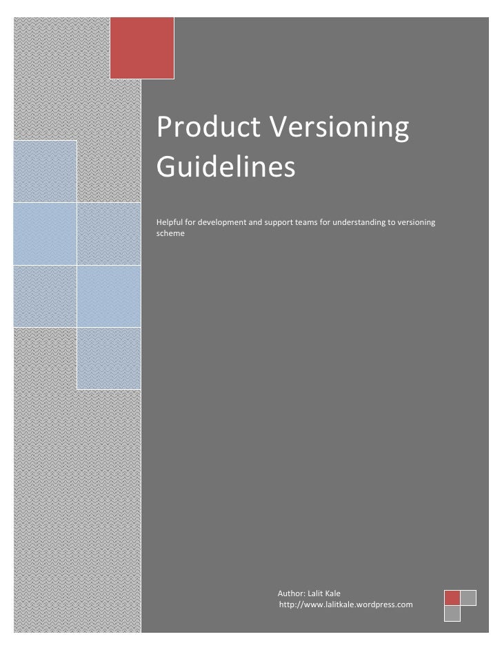 Versioning Guidelines For Product