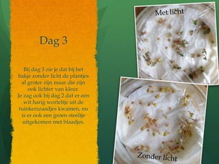 Verslag ontkiemen | PPTX