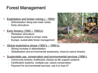 Impression Make a Forest Kick-off | PPT | Woodworking | Arts and Crafts