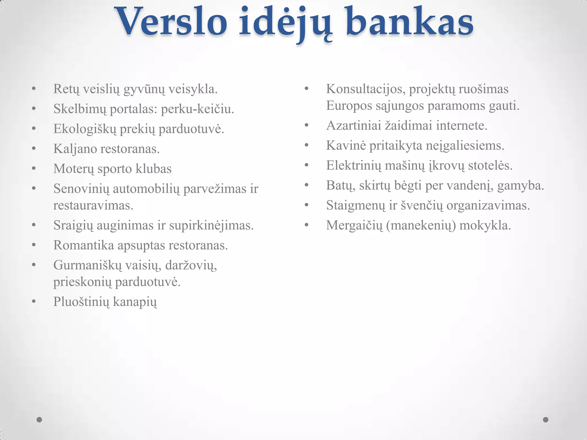 Verslo idejos pristatymas | PPTX