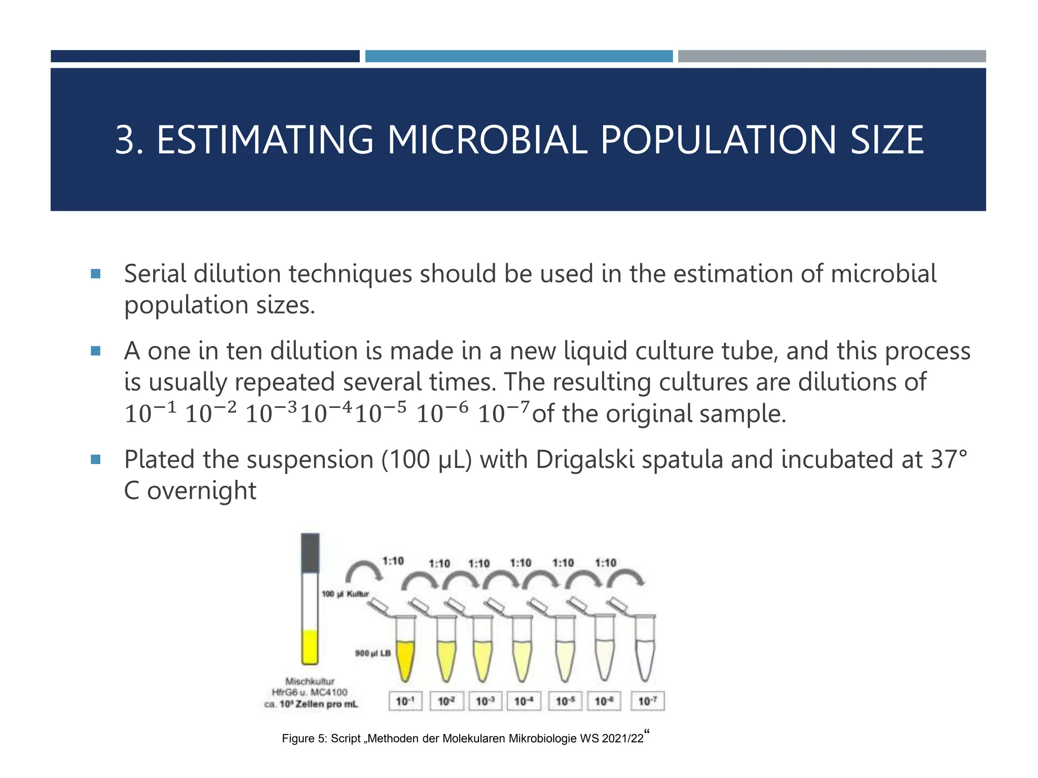 Microbiological techniques Experiment Presentation.pptx