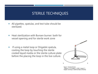 Microbiological techniques Experiment Presentation.pptx