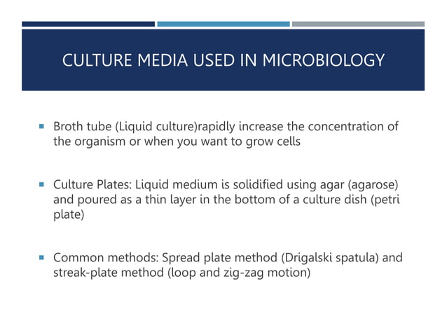 Microbiological techniques Experiment Presentation.pptx
