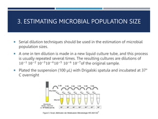 Microbiological techniques Experiment Presentation.pptx