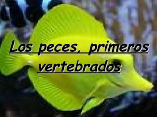 Vertebrados | PPT
