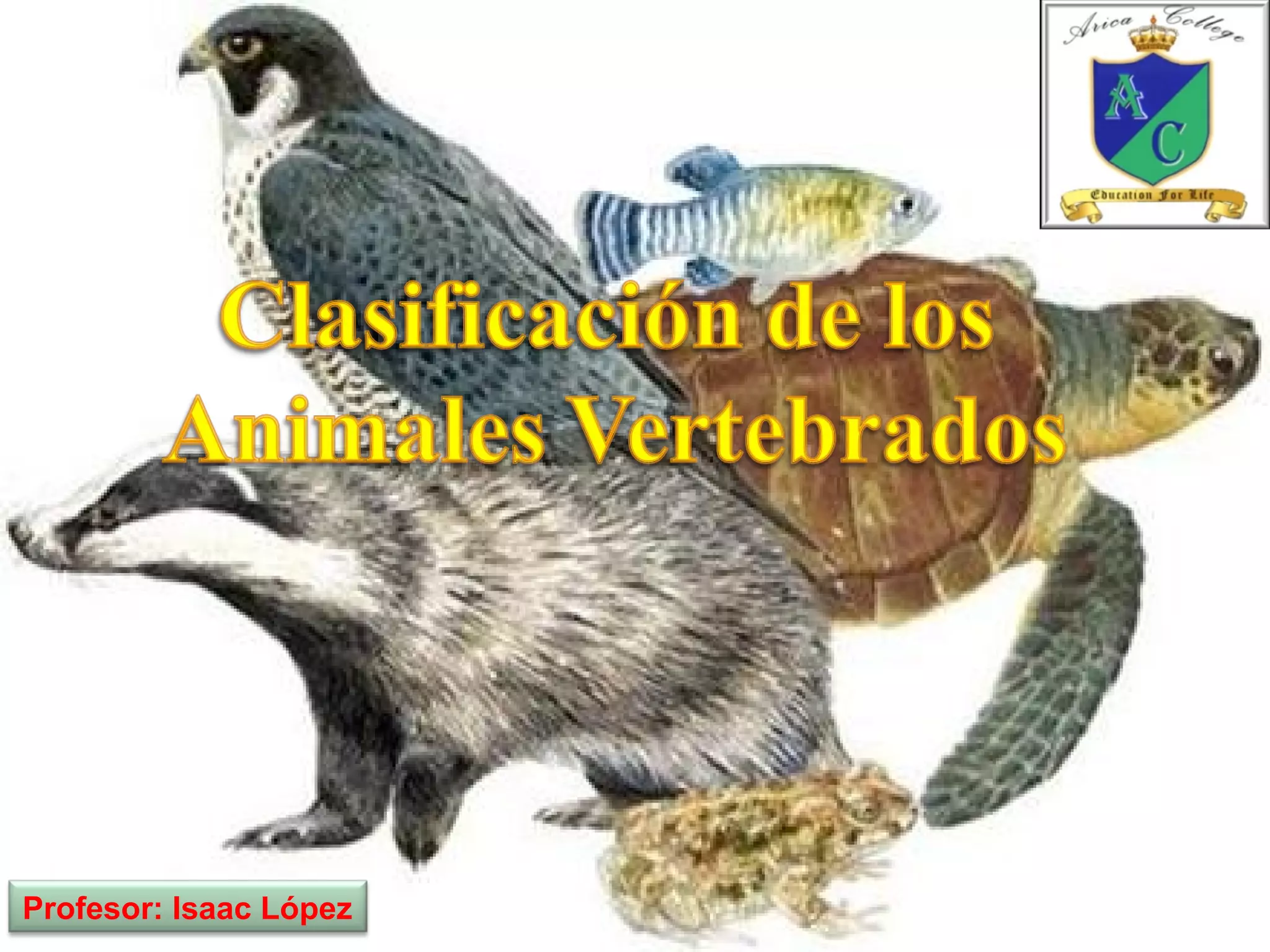 Vertebrados | PPT
