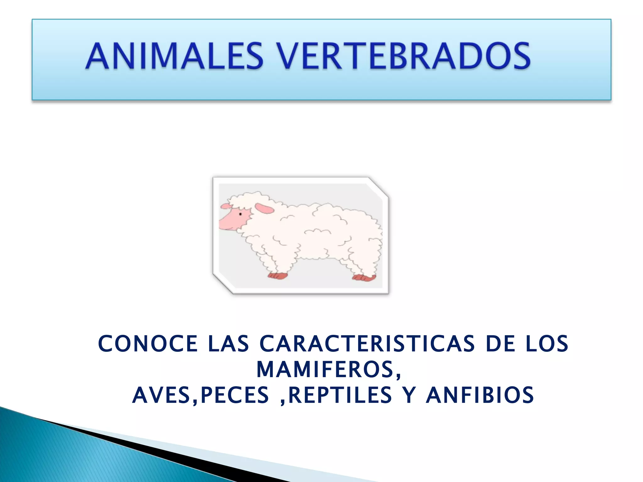 LOS ANIMALES VERTEBRADOS | PPT