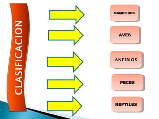 LOS ANIMALES VERTEBRADOS | PPT