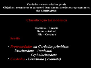 Vertebrados - protocordados - cordados - 7º ano ensino fundamental | PPT
