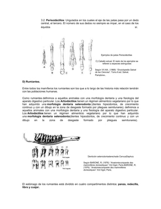 Vertebrados biologia | DOCX