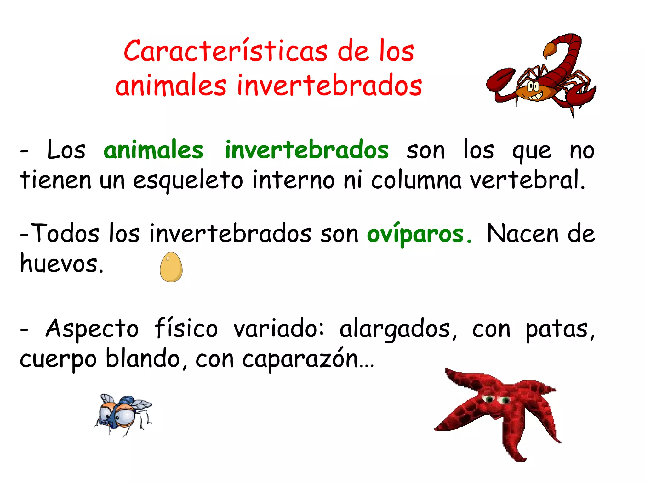 Animales Vertebrados E Invertebrados Vertebrados E Invertebrados
