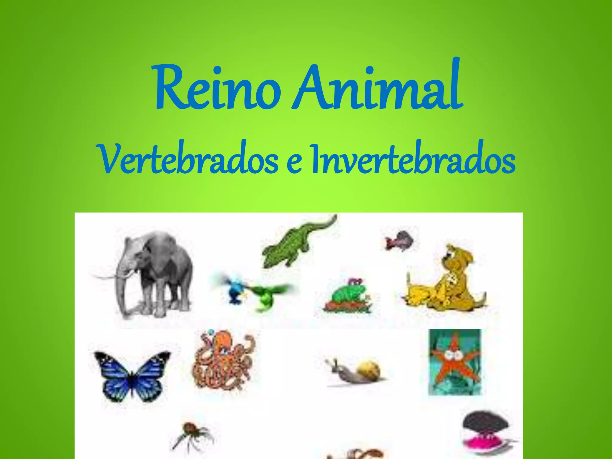 Vertebrados E Invertebrados