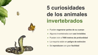 Vertebrados e invertebrados Mundo animal.pptx