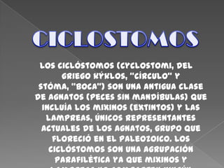 LOS VERTEBRADOS POR ISABEL YAUCEN | PPTX