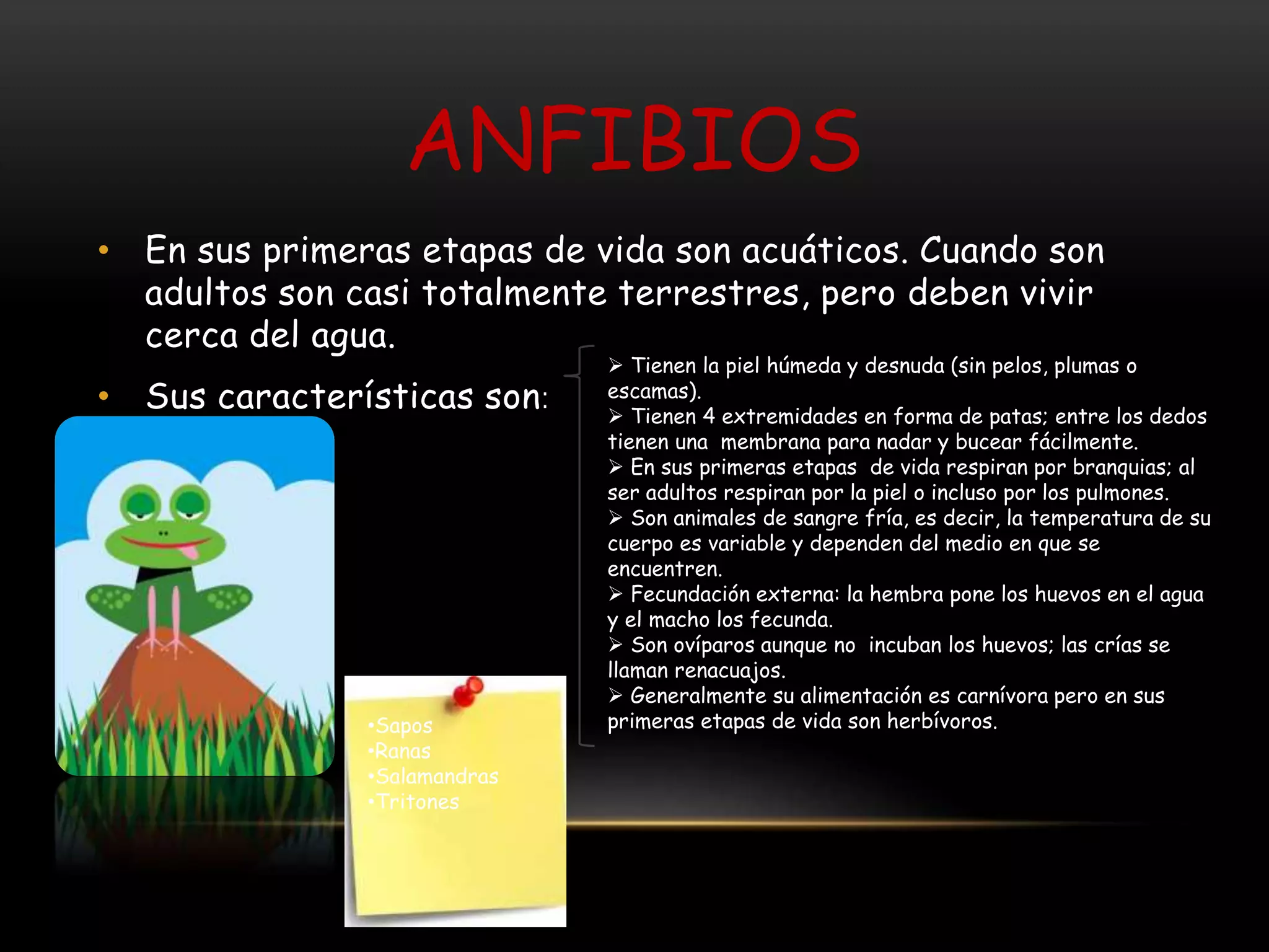 Animales Vertebrados ppt | PPT