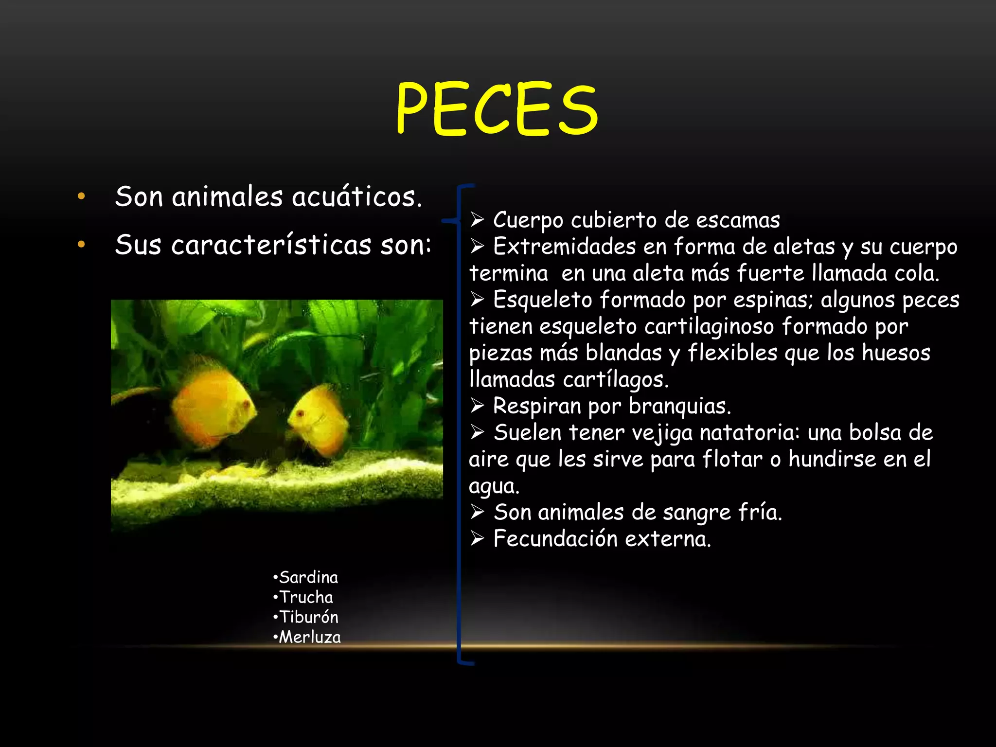 Animales Vertebrados ppt | PPT