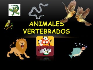 Animales Vertebrados ppt | PPT