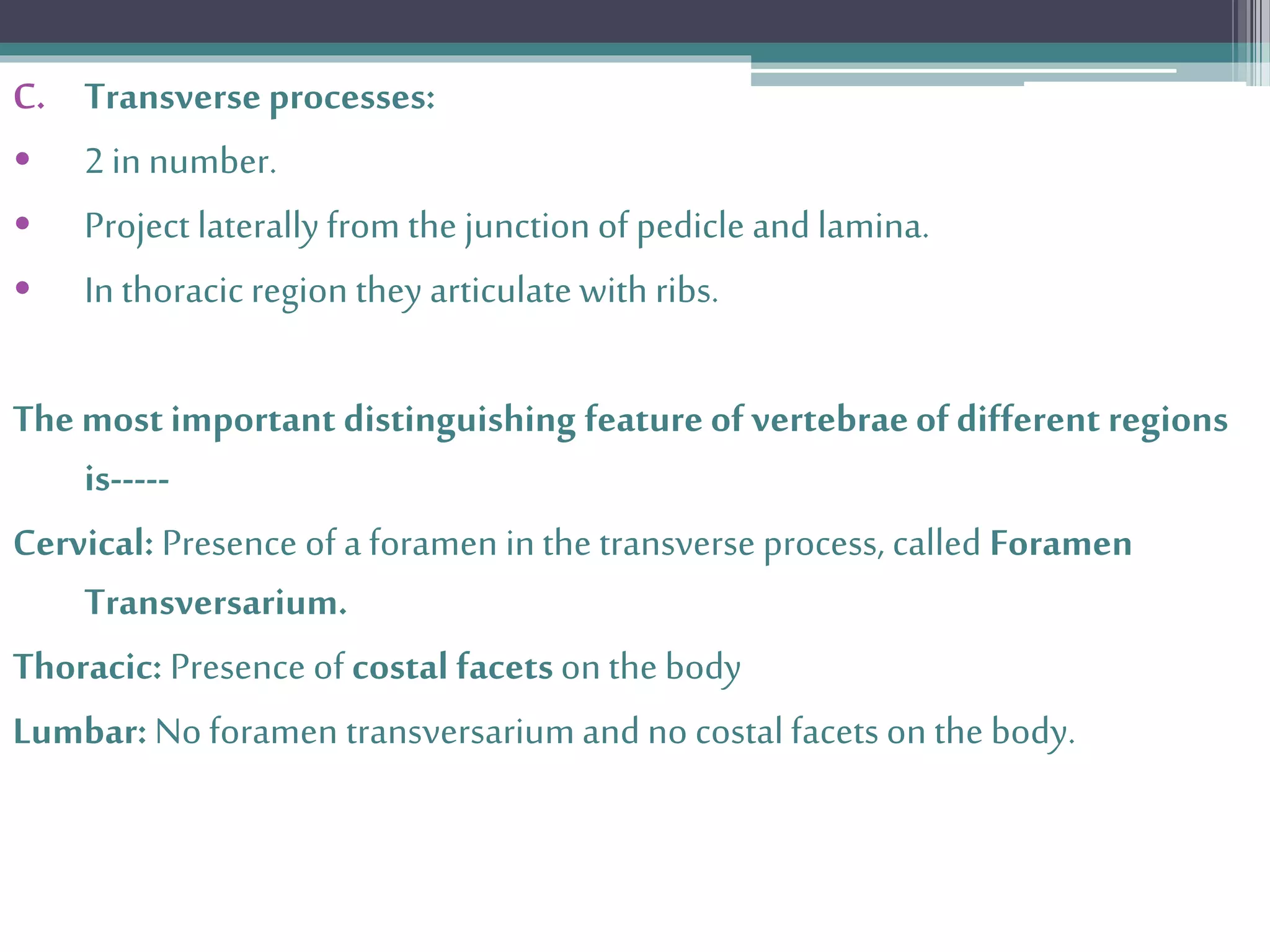 Anatomy of Vertebral Column | PPTX