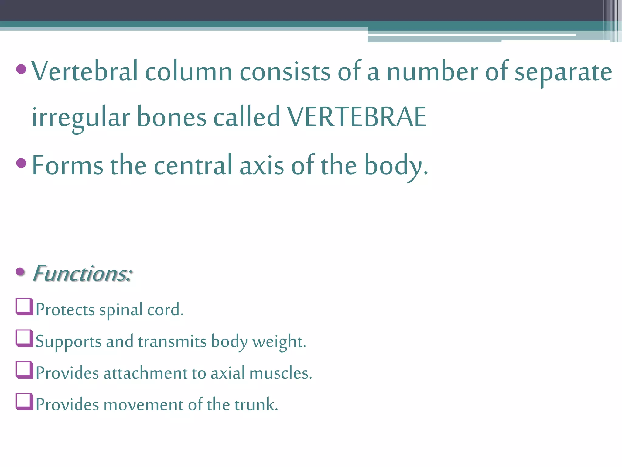 Anatomy of Vertebral Column | PPTX