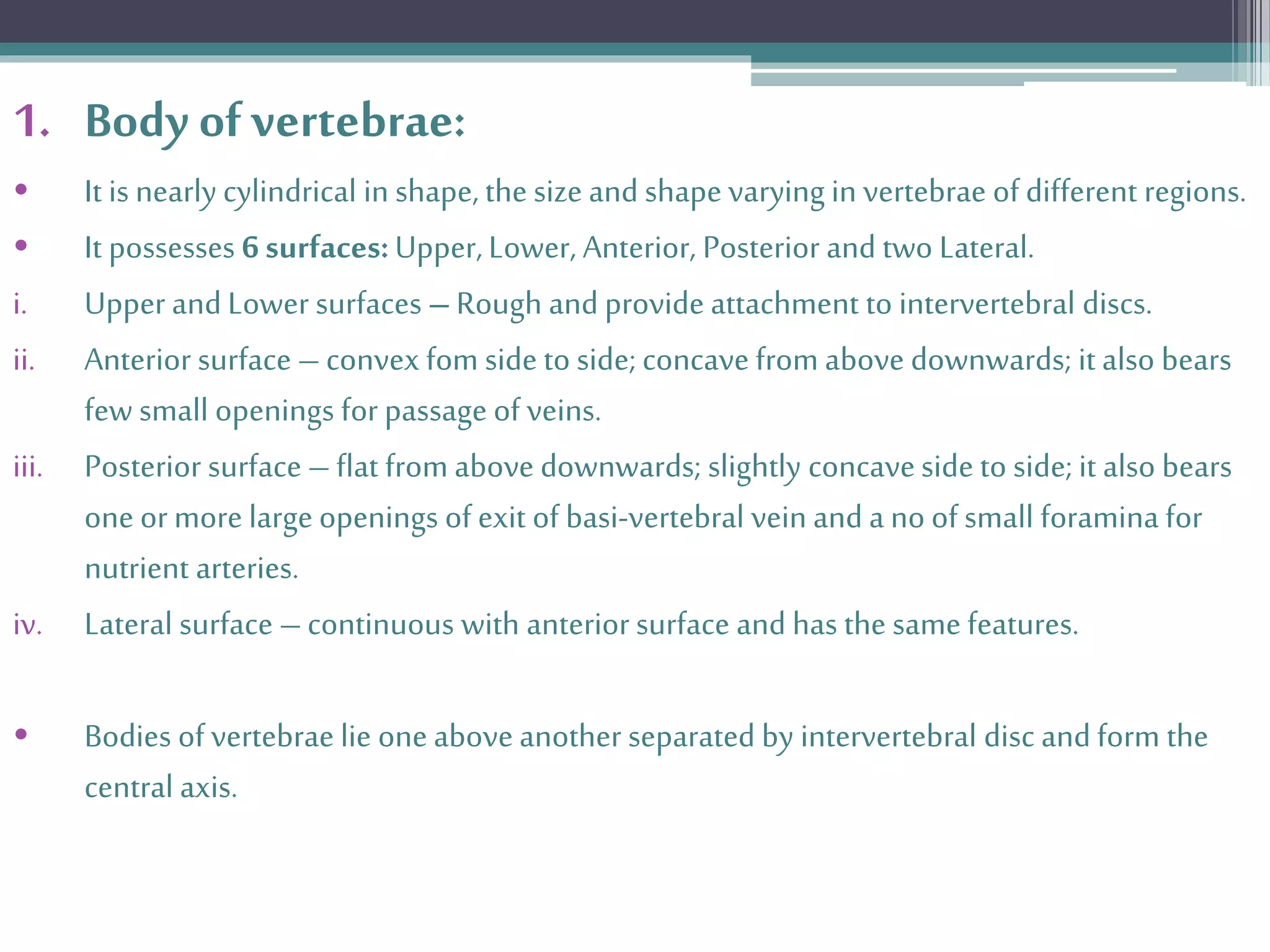 Anatomy of Vertebral Column | PPTX