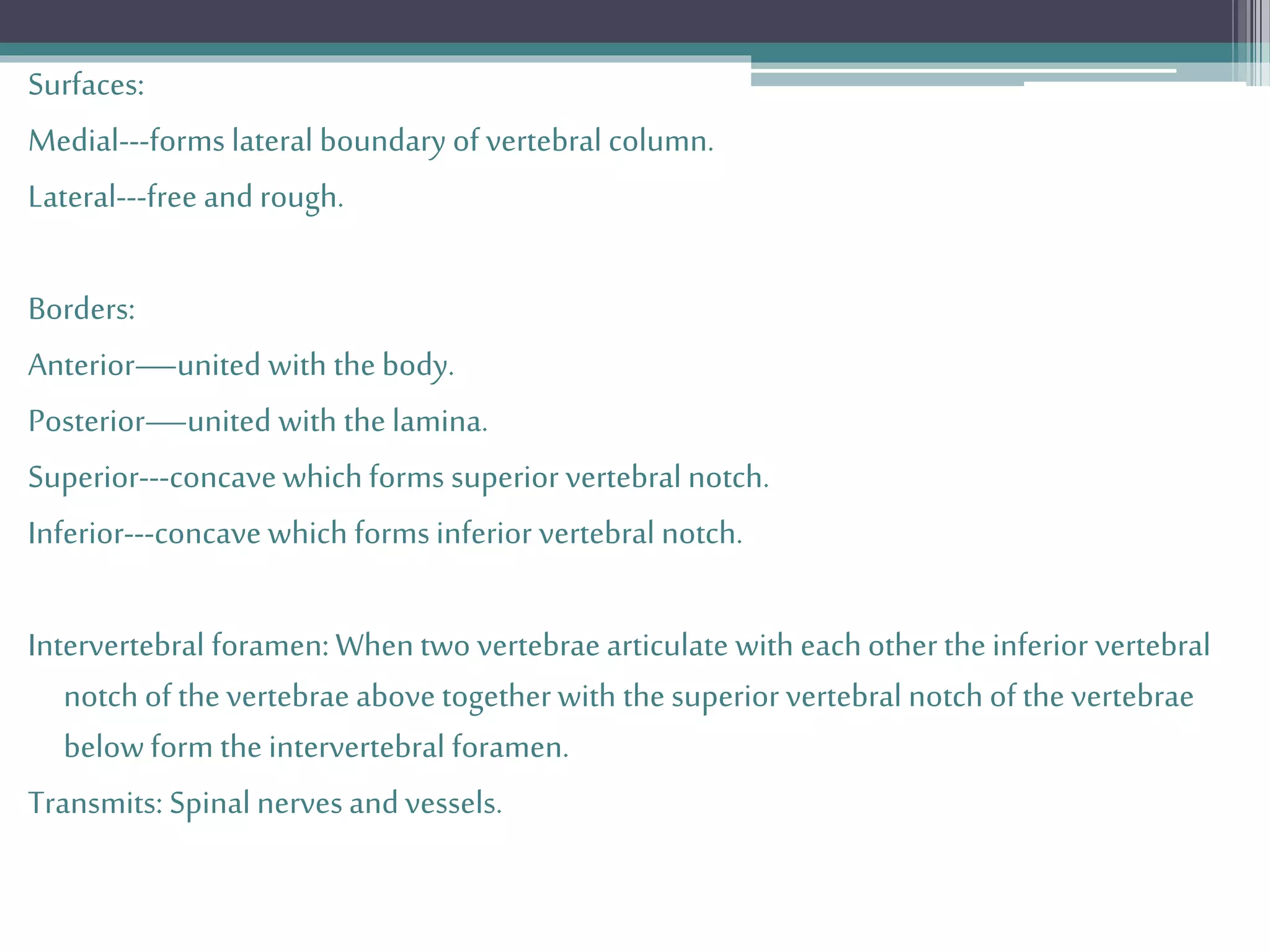 Anatomy of Vertebral Column | PPTX