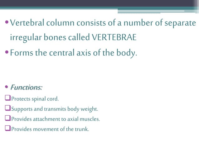 Anatomy of Vertebral Column | PPTX