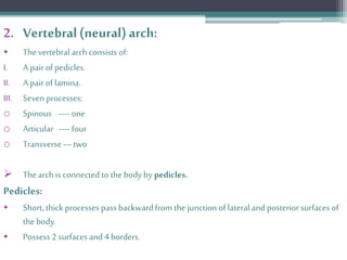 Anatomy of Vertebral Column | PPTX