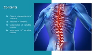 vertebrae.pptx