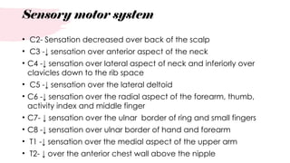 Vertebrae fracture pt assesment and management in detail | PPTX