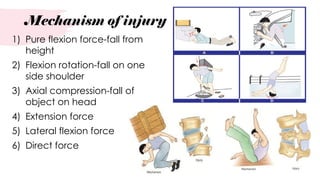 Vertebrae fracture pt assesment and management in detail | PPTX