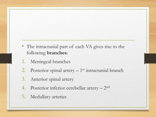 Vertebral Artery Anatomy with Endovascular.pptx