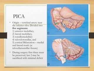 Vertebral Artery Anatomy with Endovascular.pptx