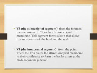 Vertebral Artery Anatomy with Endovascular.pptx