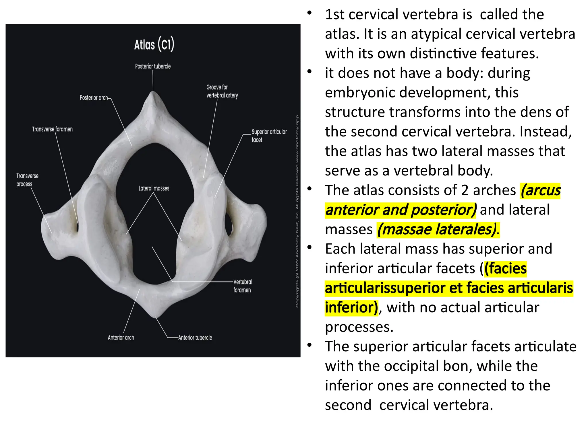 Vertebral column -.pptx what are tthe parts are present | PPTX