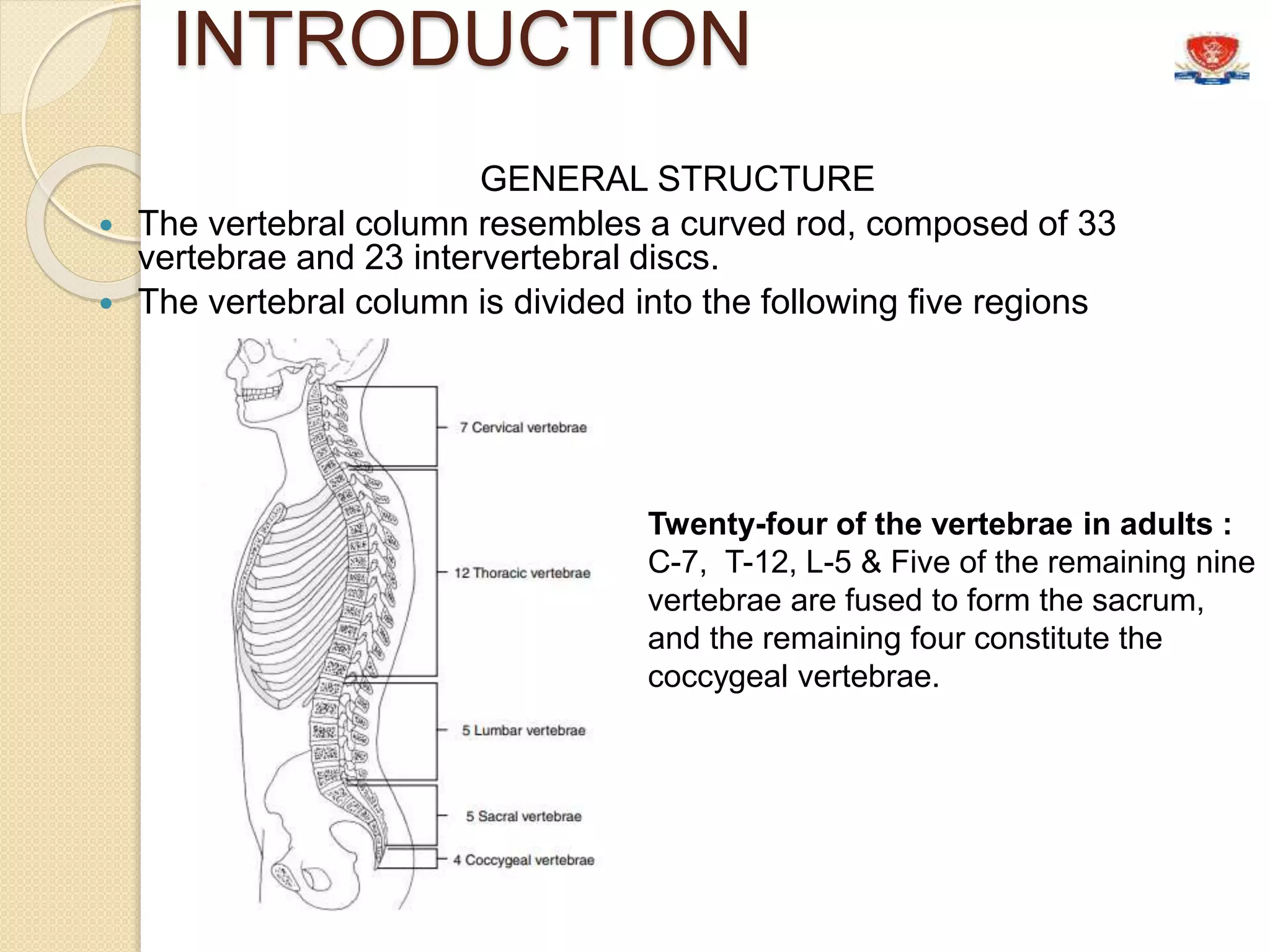 Vertebral column | PPTX