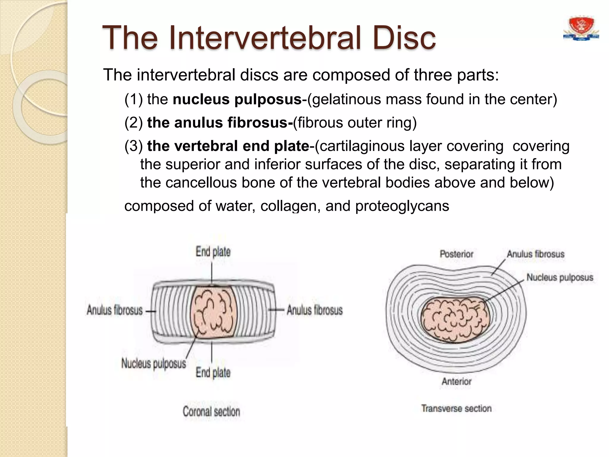 Vertebral column | PPTX