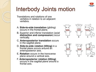 Vertebral column | PPTX