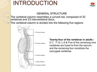 Vertebral column | PPTX