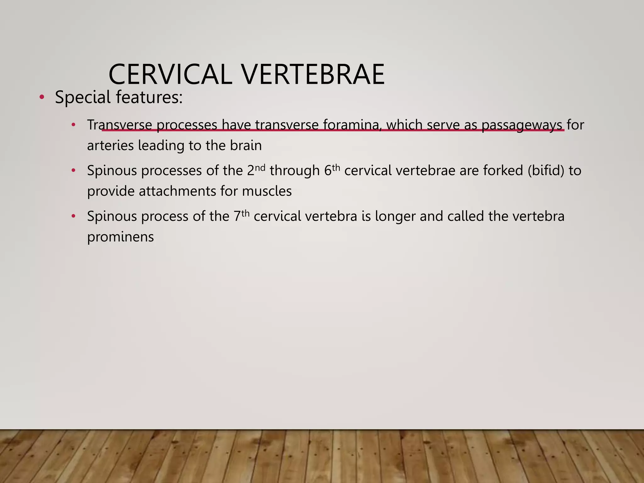 Vertebral Column.ppt